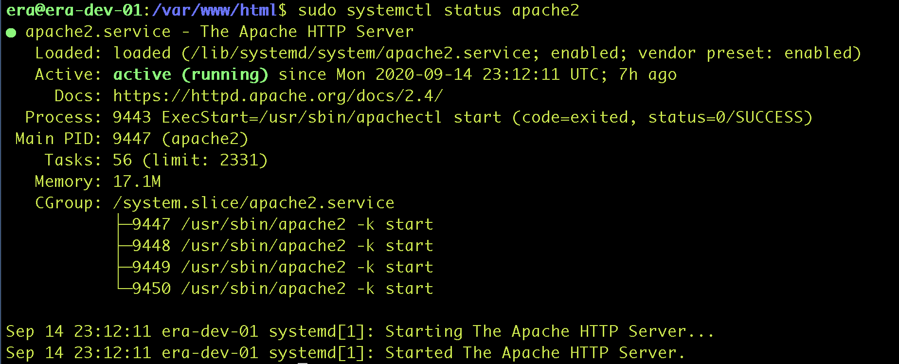 Linux Debian Install Manage Apache Web Server Virtualization